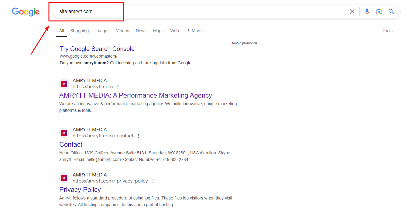 Search Google or Type a URL: Which Method Works Best for You?