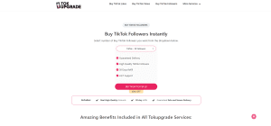 7 Trusted Sites to Buy TikTok Followers (Genuine and Legit)